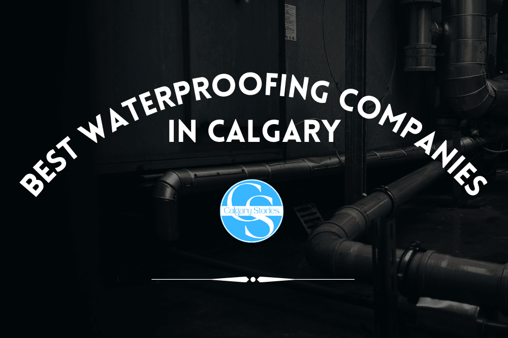 The 6 Best Waterproofing Companies in Calgary [2025]