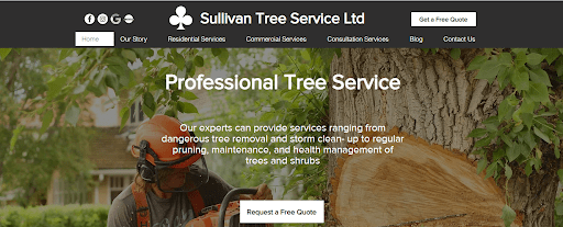 The 6 Best Tree Removal Companies In Calgary [2023]